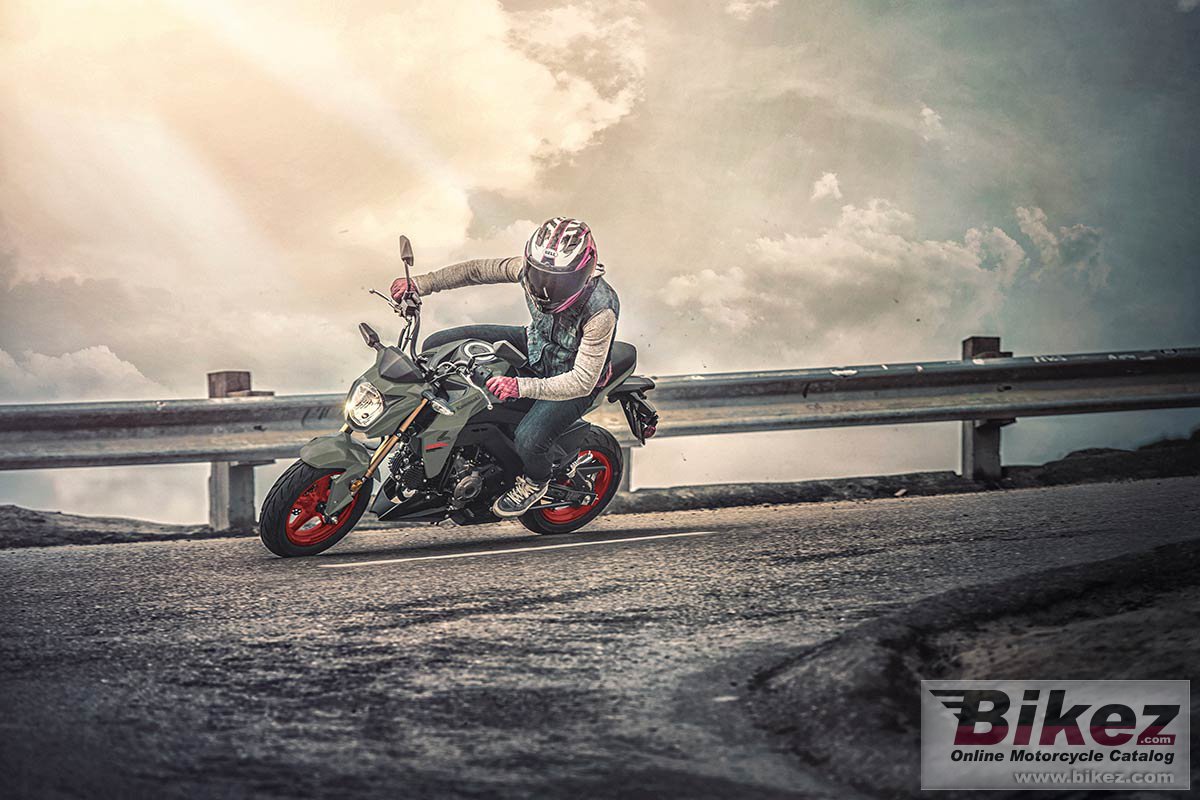 Kawasaki Z125 Pro poster